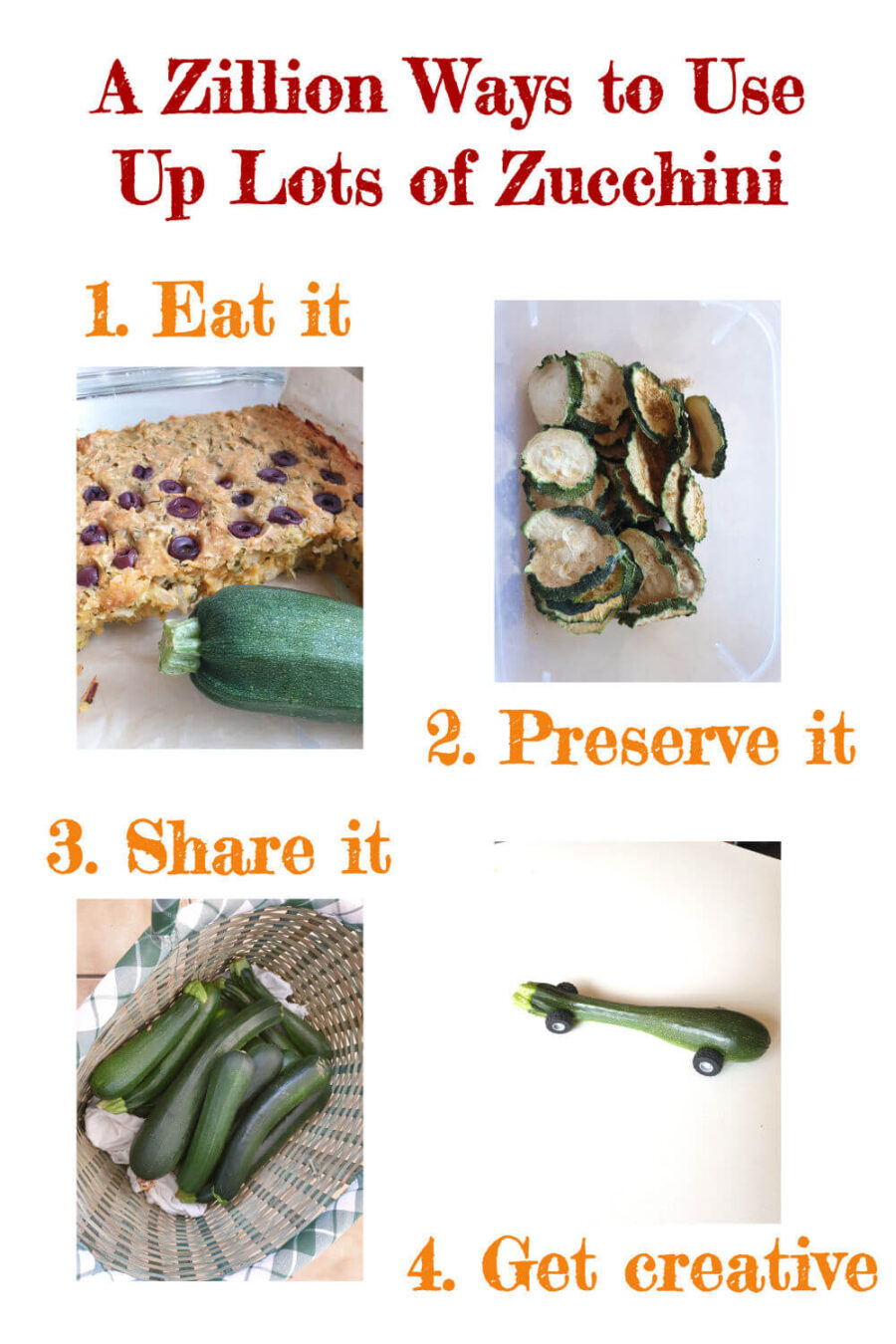 Grown Too Much Zucchini? Here’s A Zillion Ideas to Use Up Zucchini